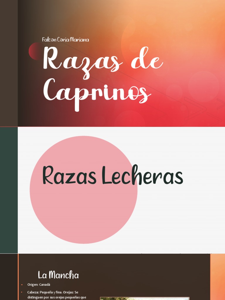 Razas de Cabras: Características y Usos | PDF | Mamíferos