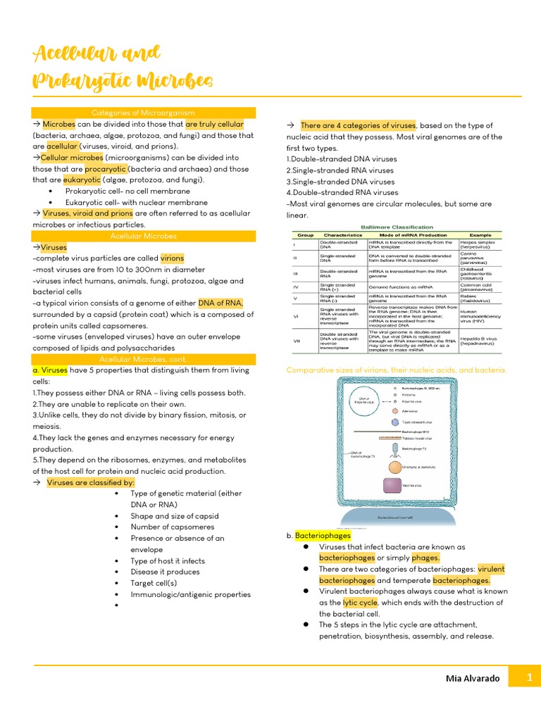 Trans Acellular and Prokaryotic Microbes | PDF
