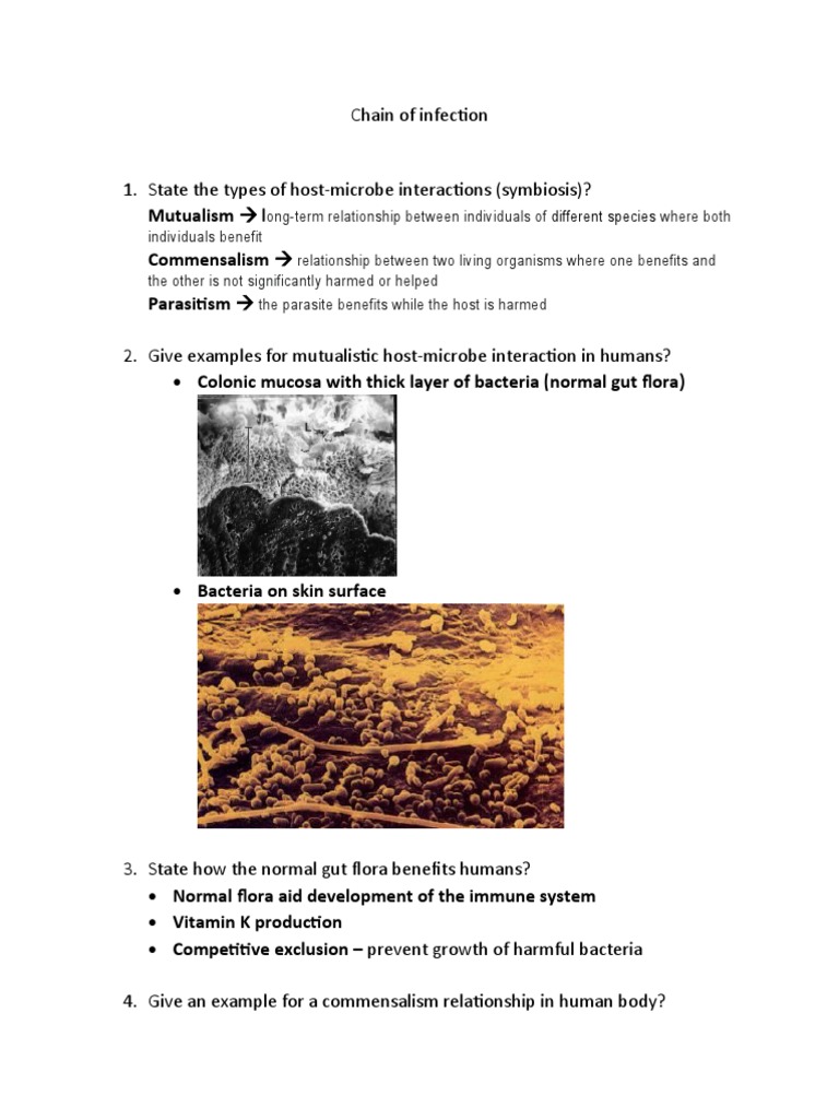 Chain of Infection | PDF | Infection | Pathogen