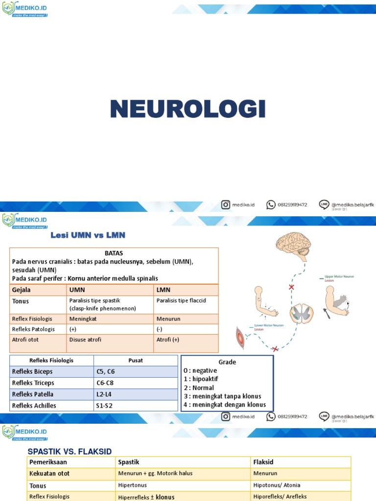 NEUROLOGI | PDF