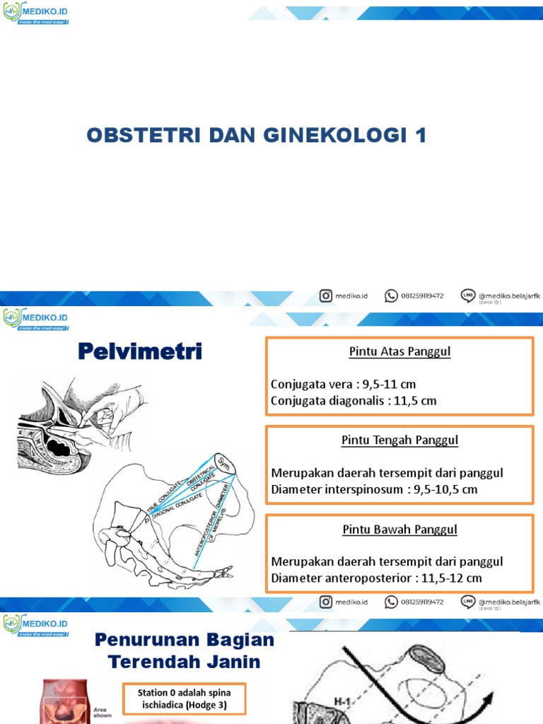 Obsgyn 1 | PDF | Kesehatan Holistik