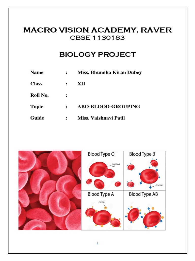 ABO Blood Grouping Project | PDF