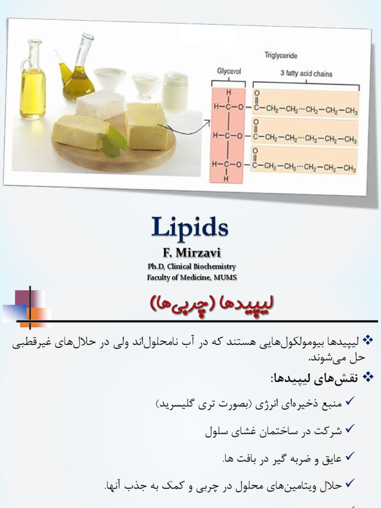 Lipids | PDF