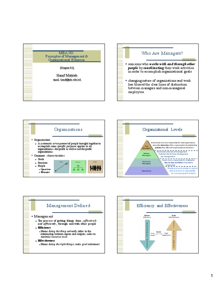 Slides Chapter01 Pdf System Behavioural Sciences