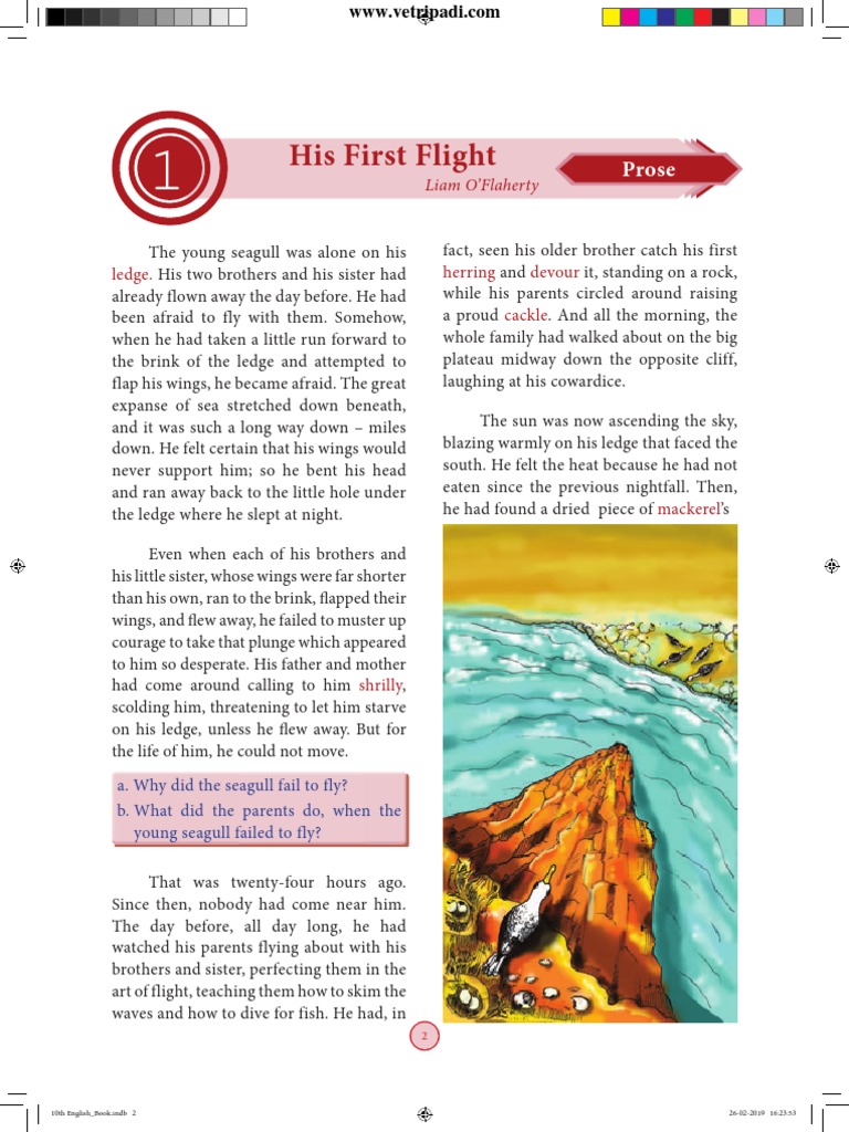 His First Flight | PDF