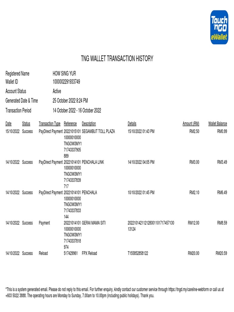 TNG Wallet Transaction Summary | PDF | Financial Technology | Finance ...