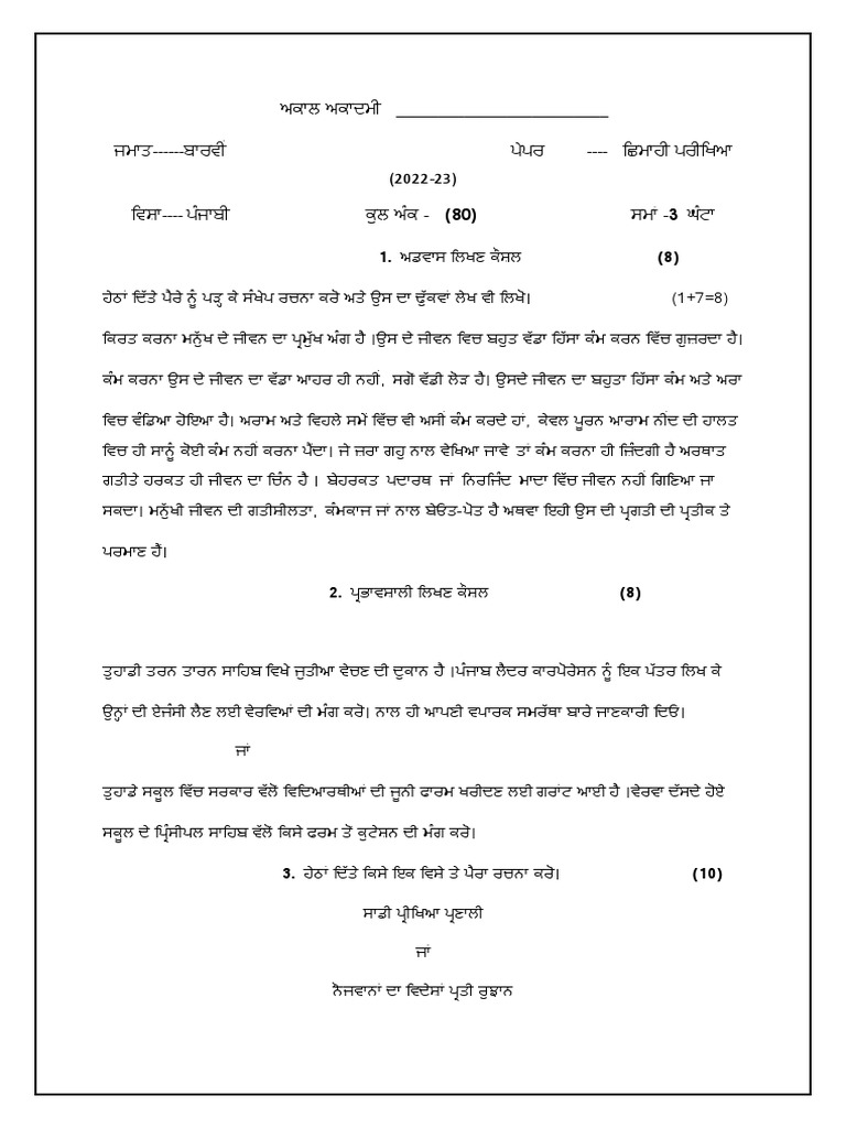 Class XII Punjabi | PDF