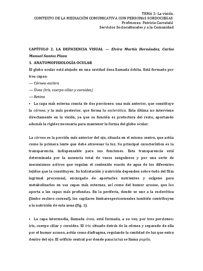 CAPÍTULO 2 Lavisión | PDF | Ojo humano | Percepción visual