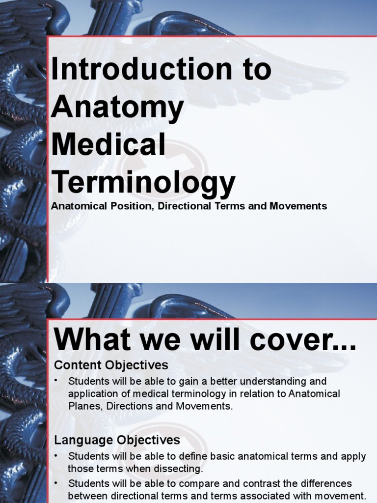 COMPREHENSIVE Anatomical Terminology | PDF | Anatomical Terms Of Motion ...