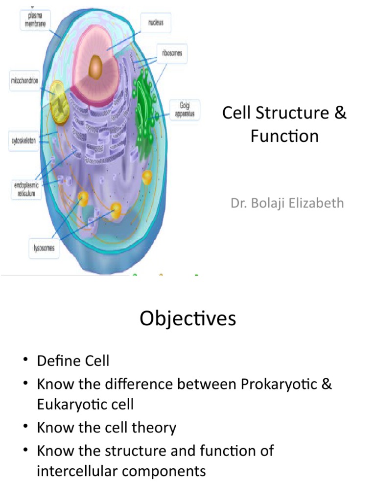 Cell Structure & Function 2022 | PDF | Cell (Biology) | Endoplasmic ...