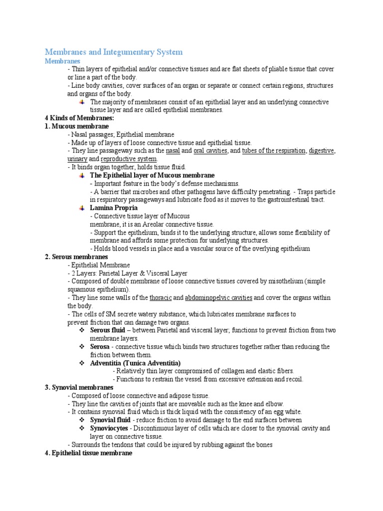 Education Notes 3 | PDF