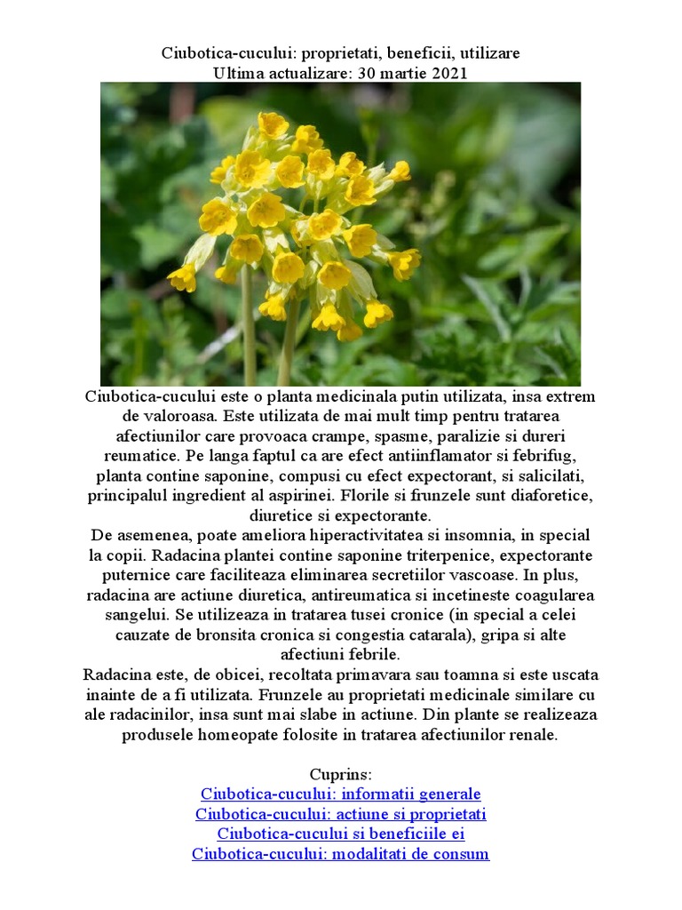 Ciubotica Cucului | PDF