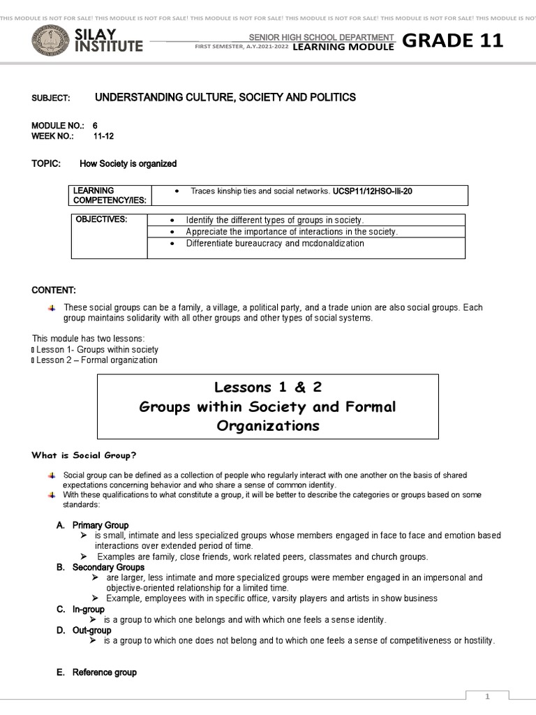 Social Groups and Formal Organizations | PDF