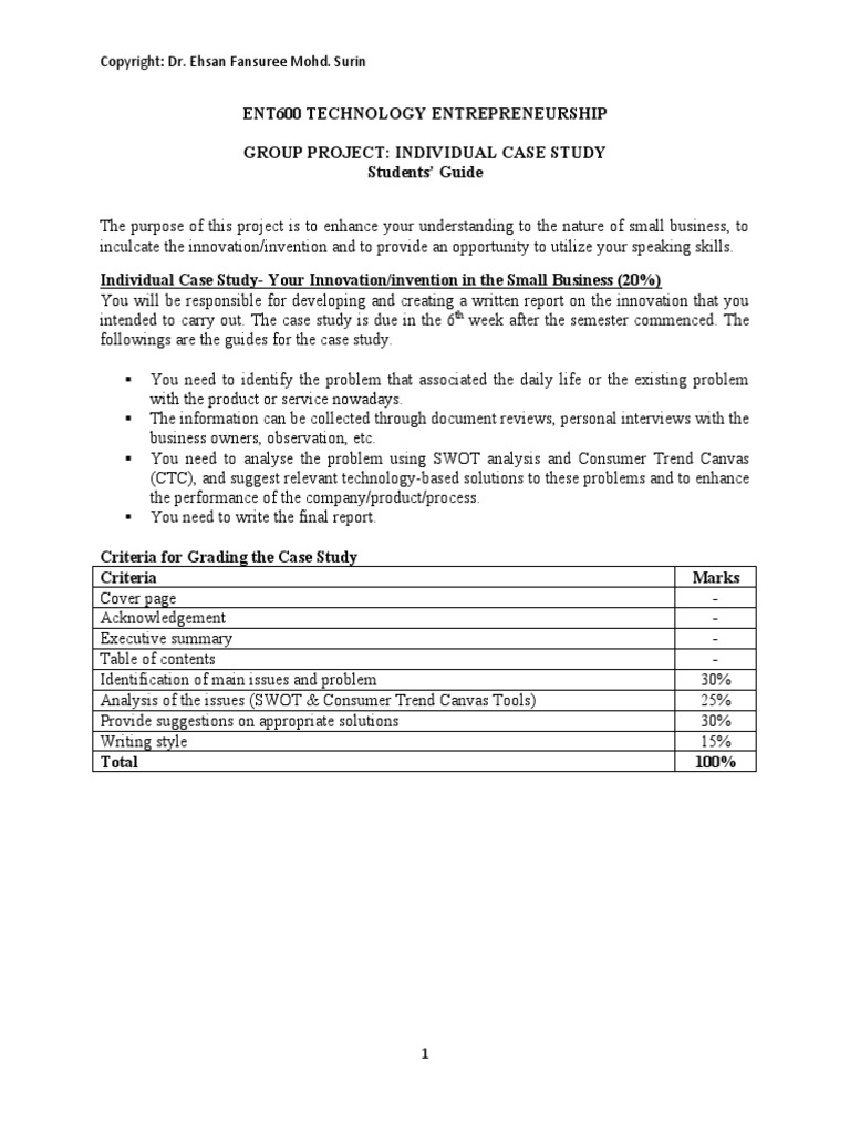 Ent600 Individual Case Study | PDF | Business