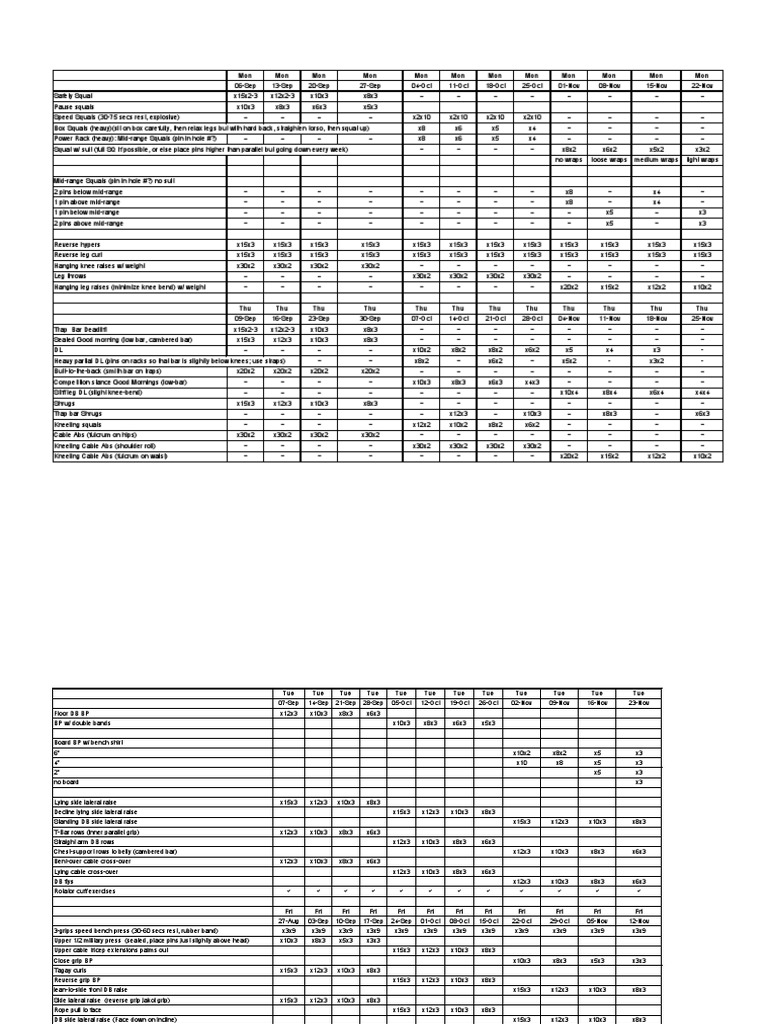 3 Lift Program | PDF