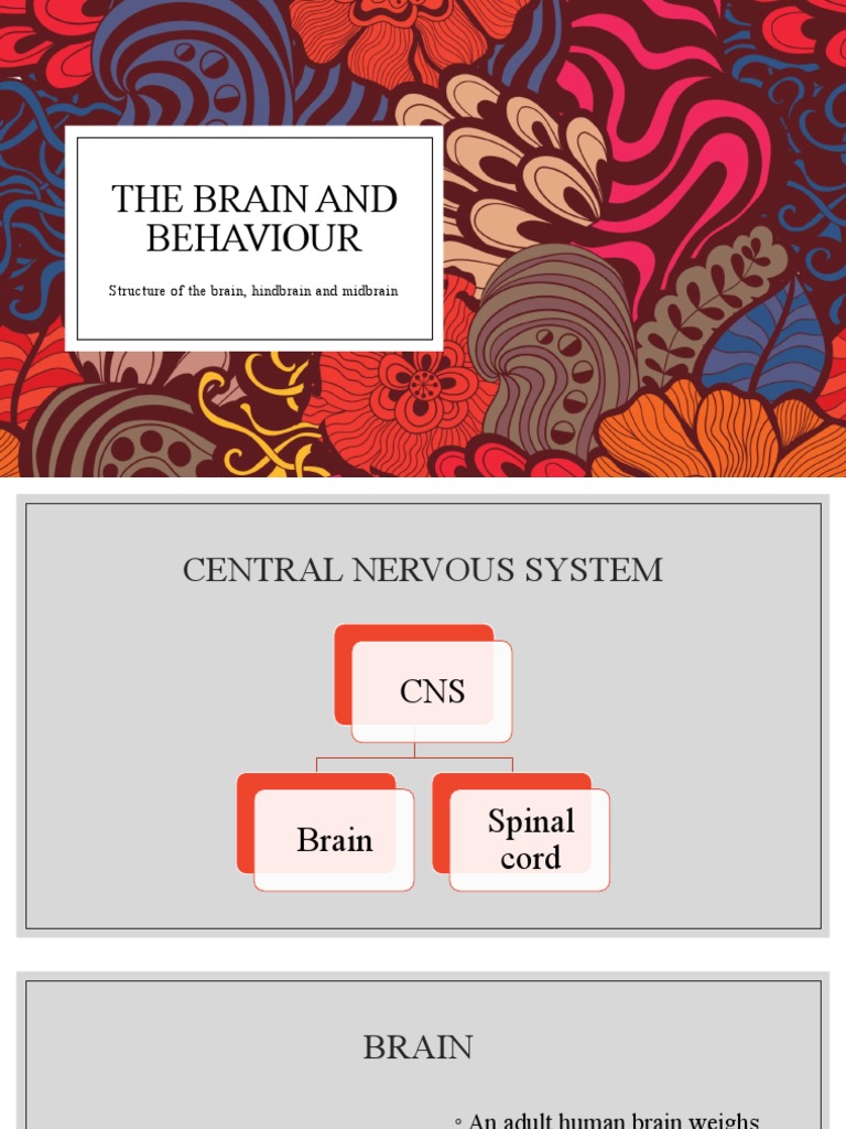The Brain and Behaviour | PDF