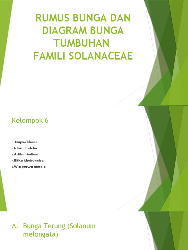 Rumus Bunga Dan Diagram Bunga Tumbuhan Pdf