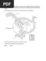 Protein Synthesis Race Game Guide | PDF | Translation (Biology ...