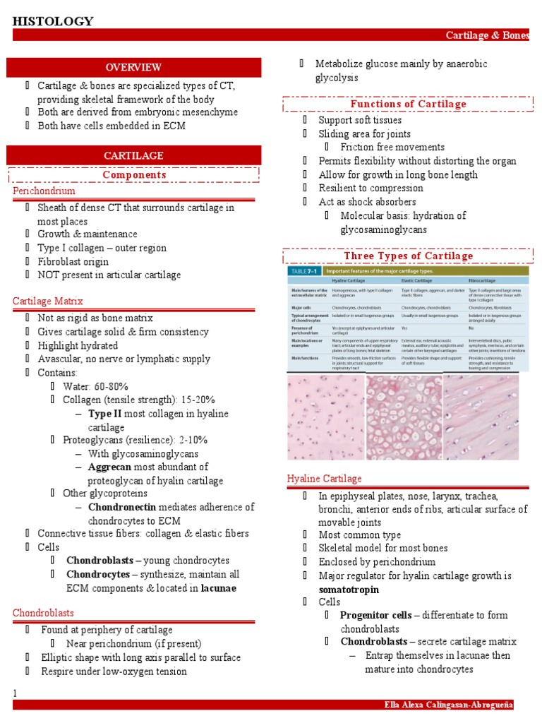 Histo Cartilage Bones | PDF | Cartilage | Extracellular Matrix
