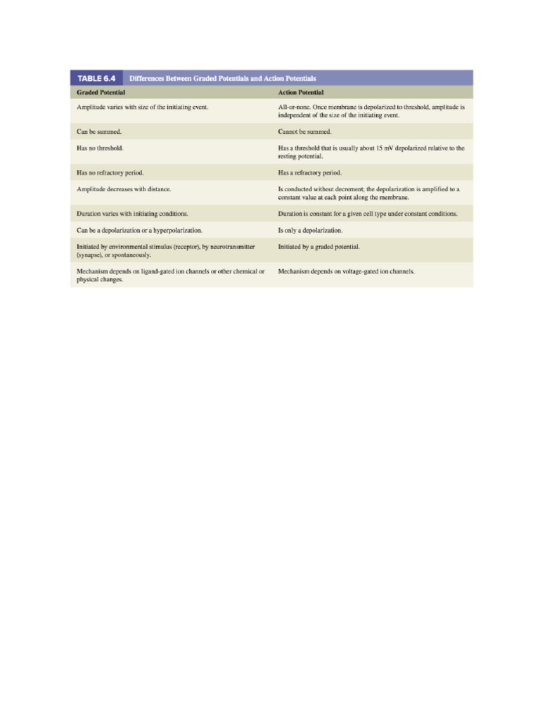 Synapses | PDF | Chemical Synapse | Neurotransmitter
