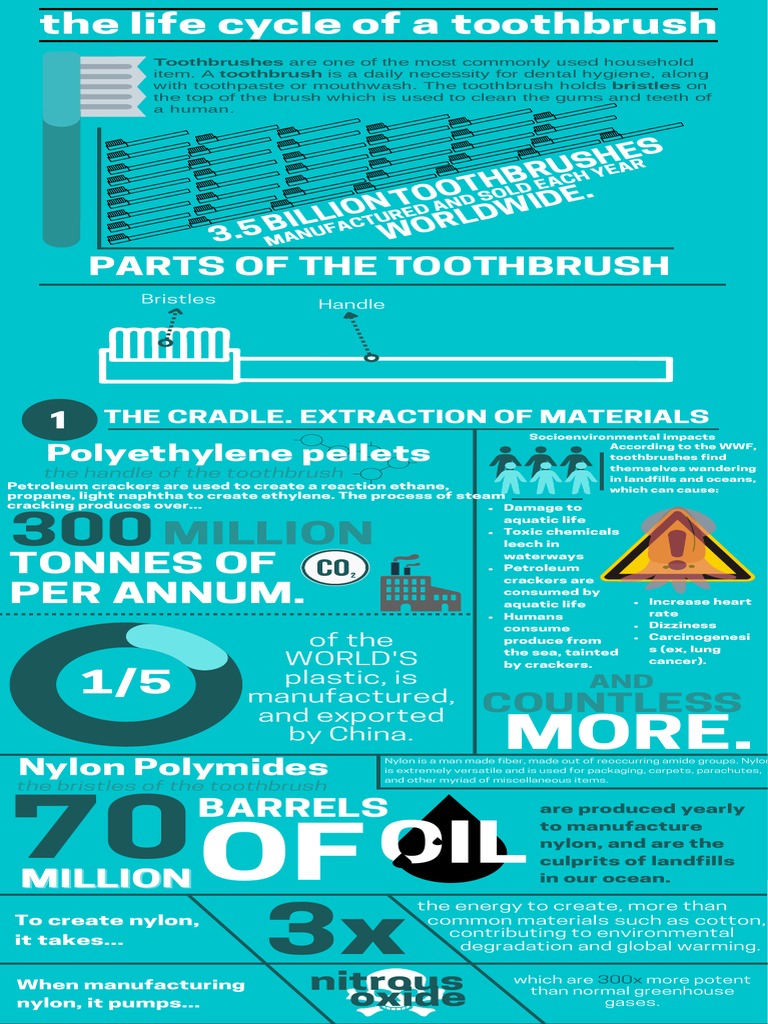 The Life Cycle of A Toothbrush 1 | PDF
