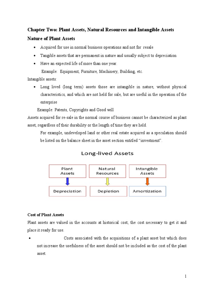 Chapter Two - Plant Asset | PDF