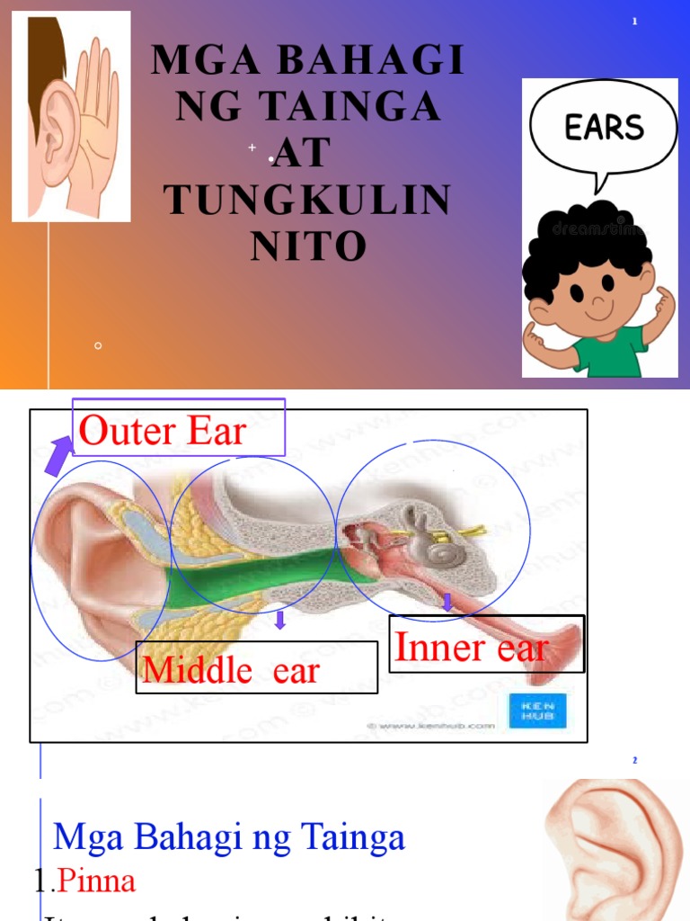 Science 3 2nd Quarter Week 2 Day 2 | PDF