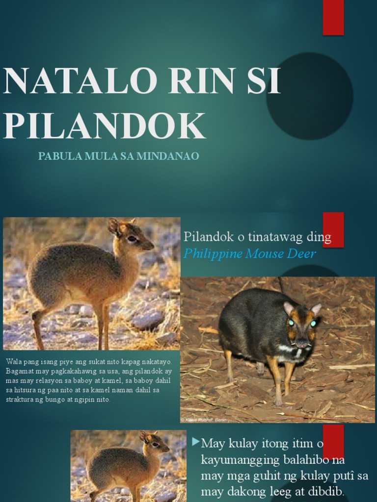 Natalo Rin Si Pilandok | PDF