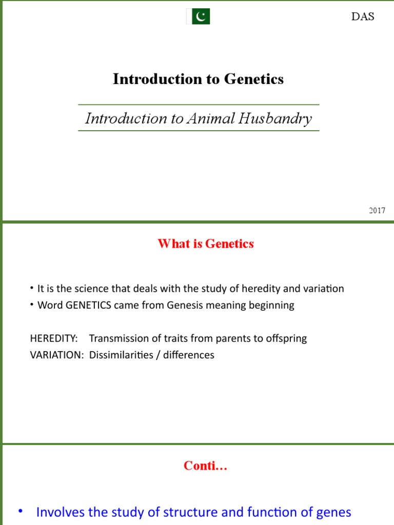 4 Introduction To Genetics | PDF | Genetics | Gene