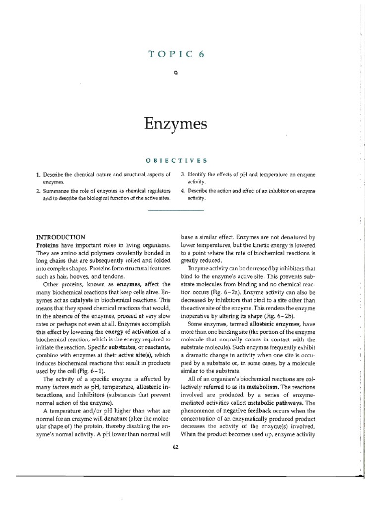 Lab 6 - Enzymes | PDF