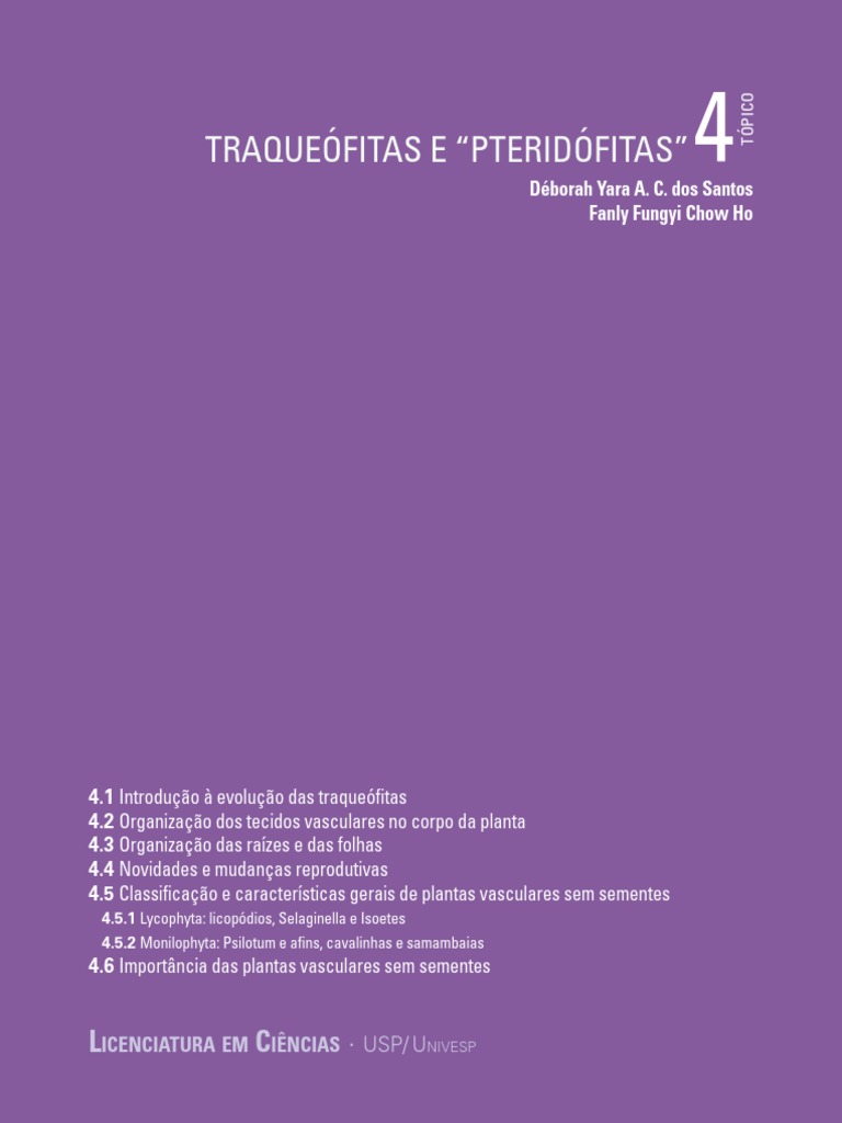 DivEvoPlan - Traqueófitas e Pteridófitas | PDF | Casa e Jardim | Bem-estar