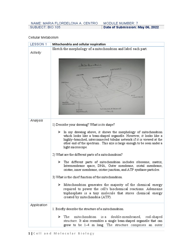 Module 7 | PDF