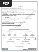 Cbse Class Ix Animal Tissue Flow Chart | PDF | Epithelium | Tissue ...