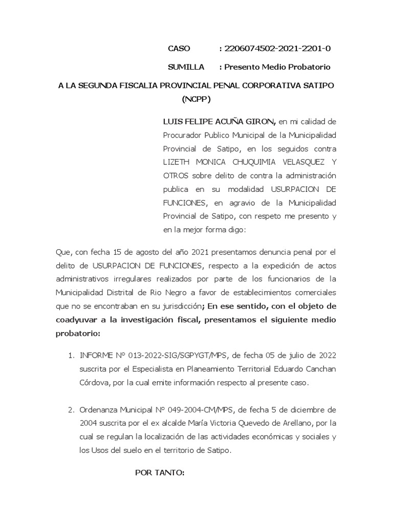 Escrito de Medios Probatorios 2201-2021 | PDF