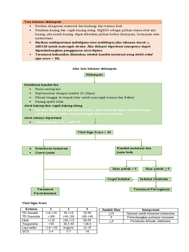 Tatalaksana Eklampsia Maternal | PDF