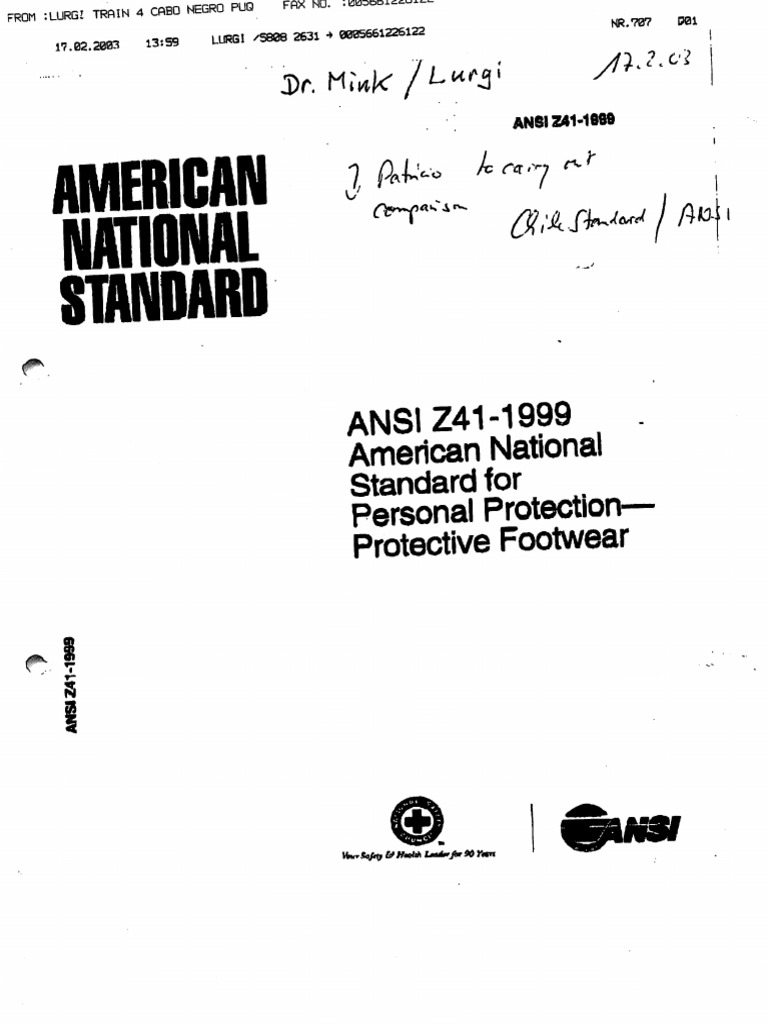Ansi Z41-1999 | PDF