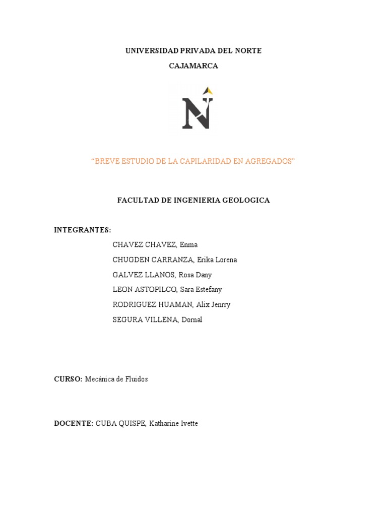 Informe Con Citas | PDF | Tensión superficial | Líquidos