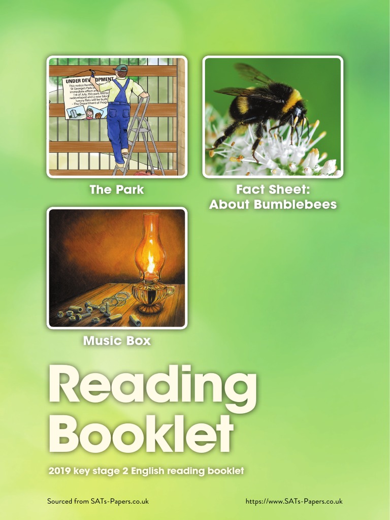 Ks2 English 2019 Reading Booklet | PDF