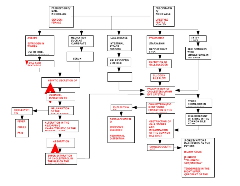 Pathophysiology - Choledocholithiasis | Bile | Gallbladder