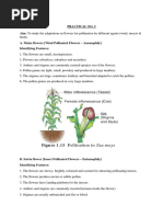 Biology Practical File | PDF | Teaching Methods & Materials | Science ...