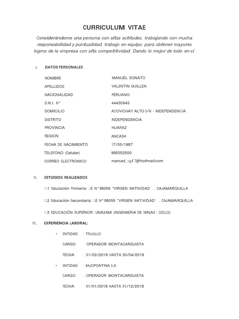 Valentin Guillen Manuel Donato - CV Con CT | PDF | Business