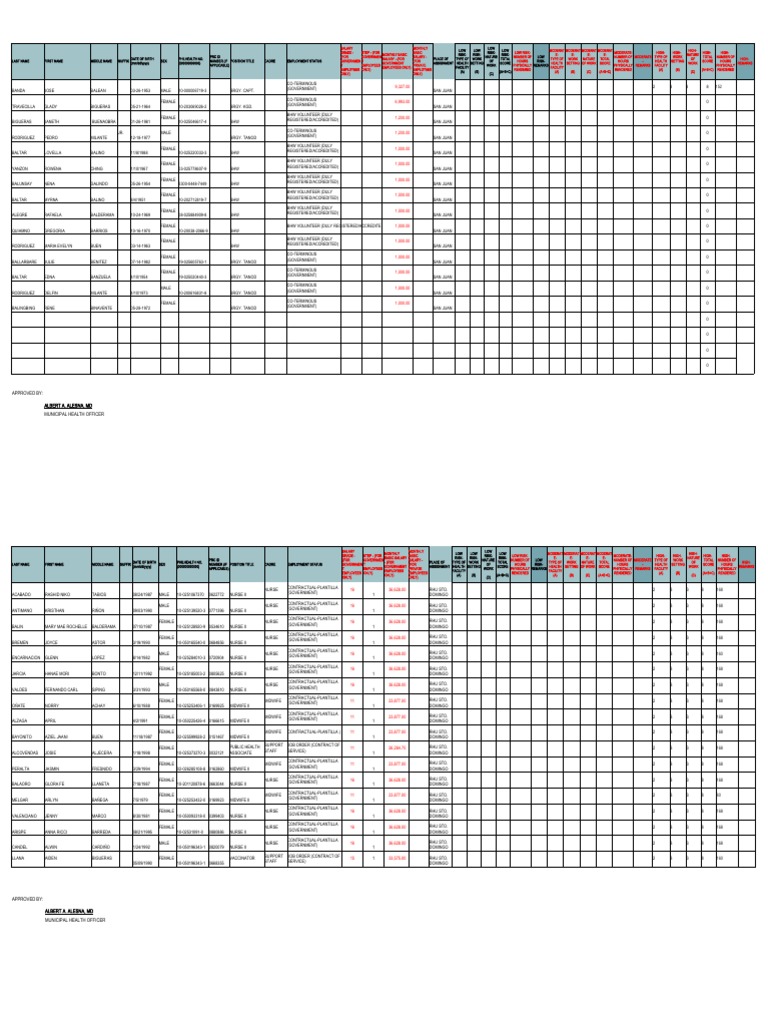 Sto. Domingo Hea Sample | PDF