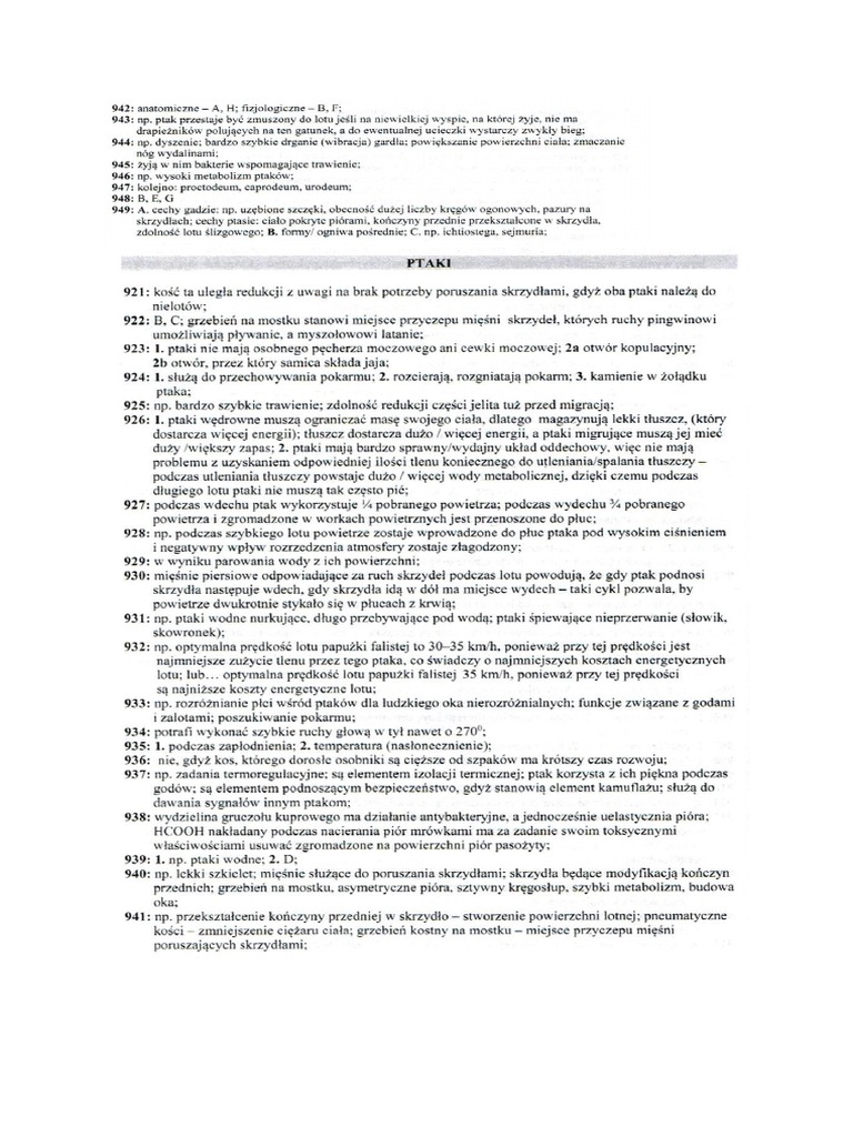 Ptaki Witowski | PDF