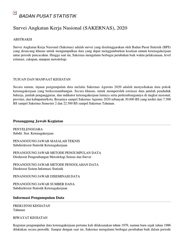 Metadata Sakernas 2020 | PDF