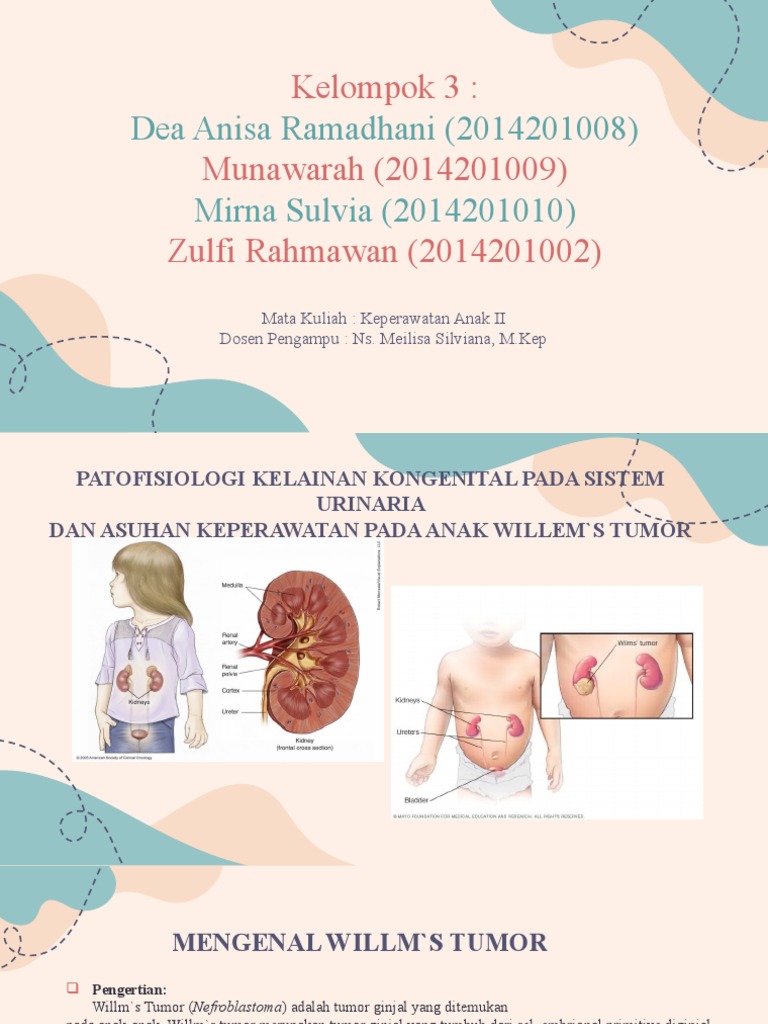 Askep Willem's Tumor Pada Anak (KLP 3) | PDF