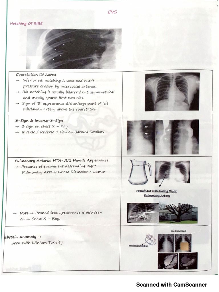 Radiology Rapid Prepladder | PDF
