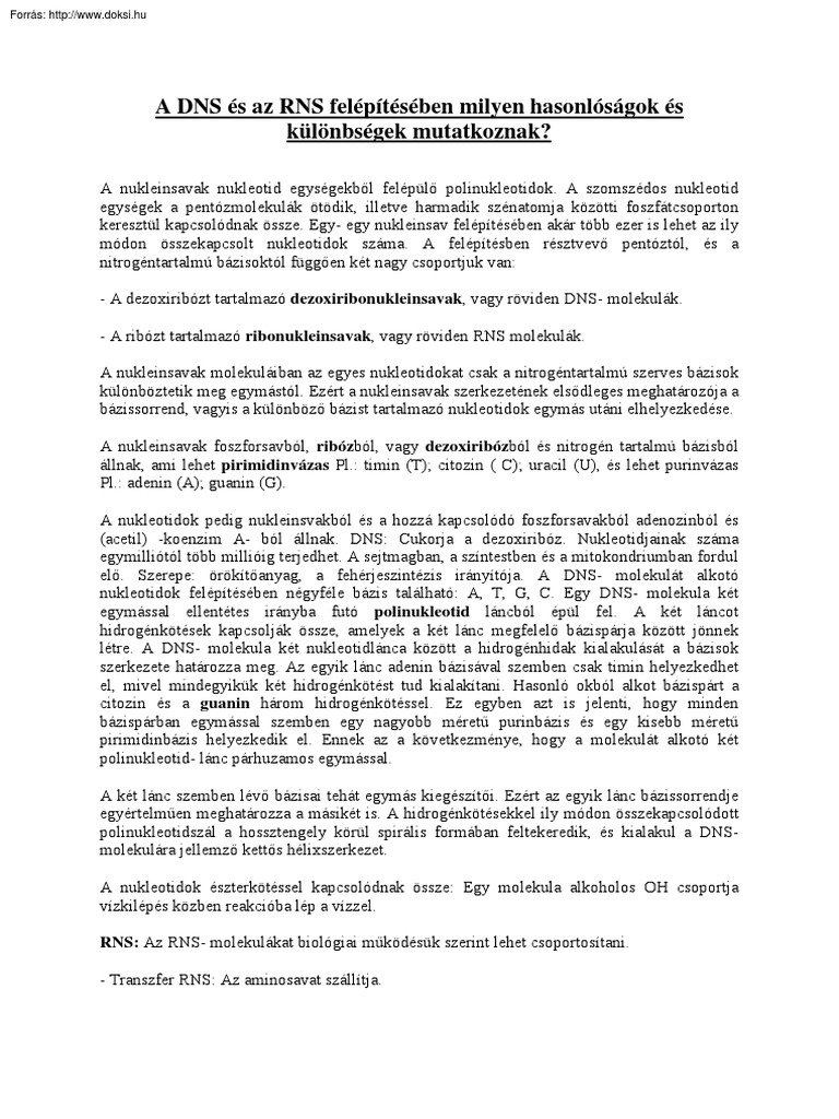A Dns Es Az Rns Felepiteseben Milyen Hasonlosagok Es Kulonbsegek ...