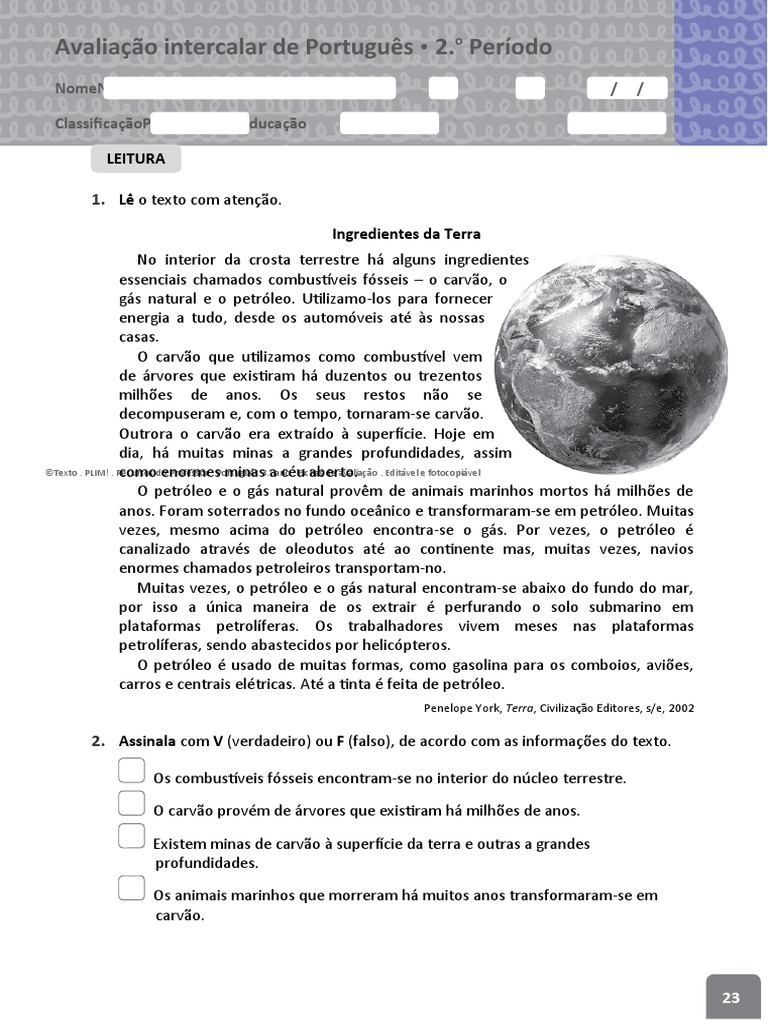 Avaliação Intercalar - 2.º Período | PDF
