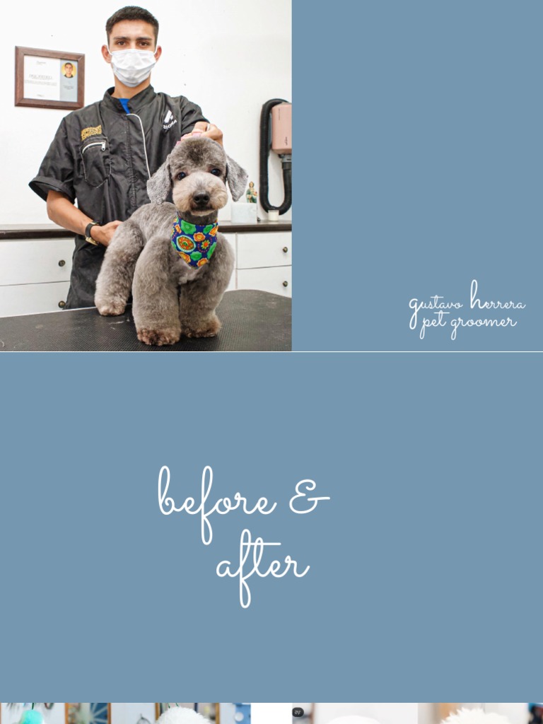 Portafolio Grooming | PDF