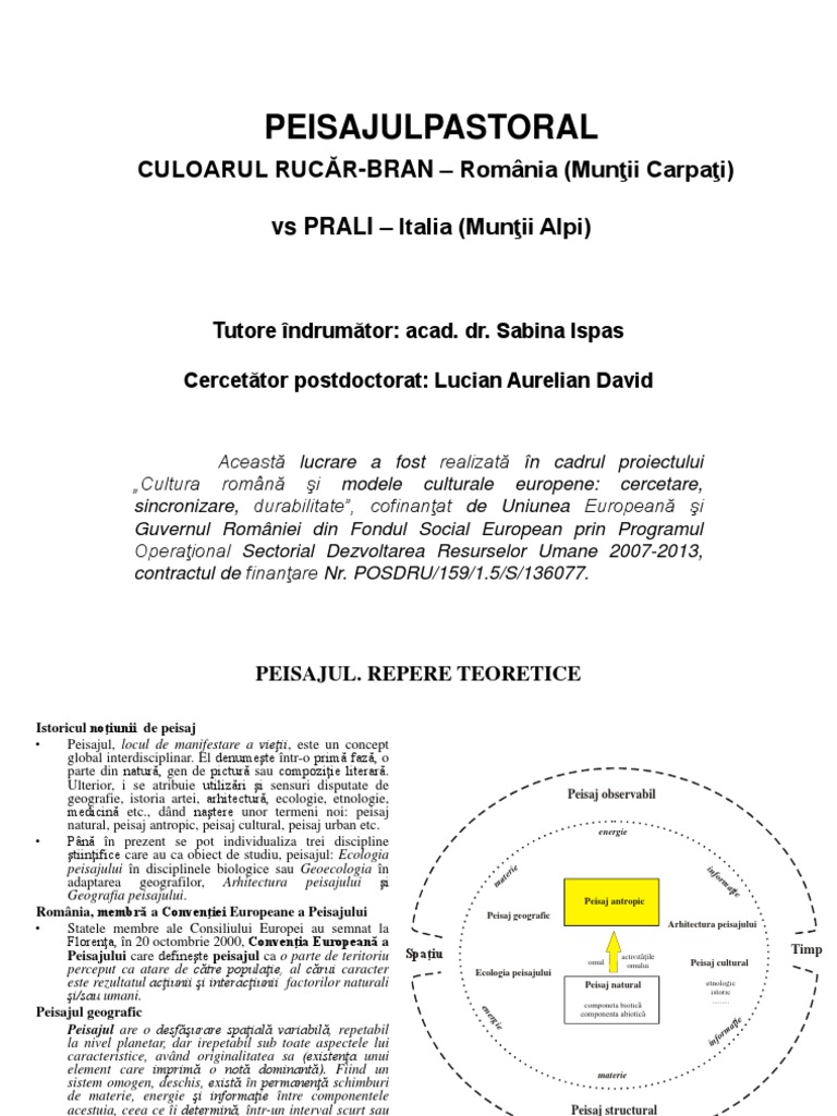 David Aurelian Lucian - RUCAR - BRAN | PDF